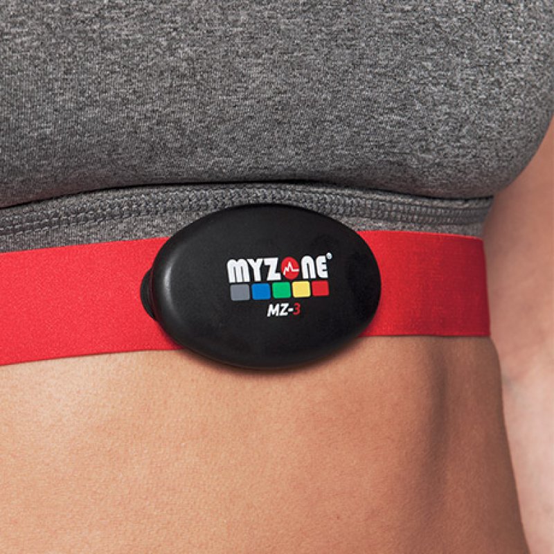 MZ-3 Belt | Gfitness