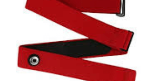 MYZONE MZ-3/MZ-1 Replacement Strap, different sizes | Gfitness